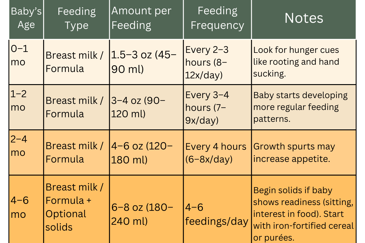 Must-Have Formula Feeding Essentials for a Thriving, Happy Baby