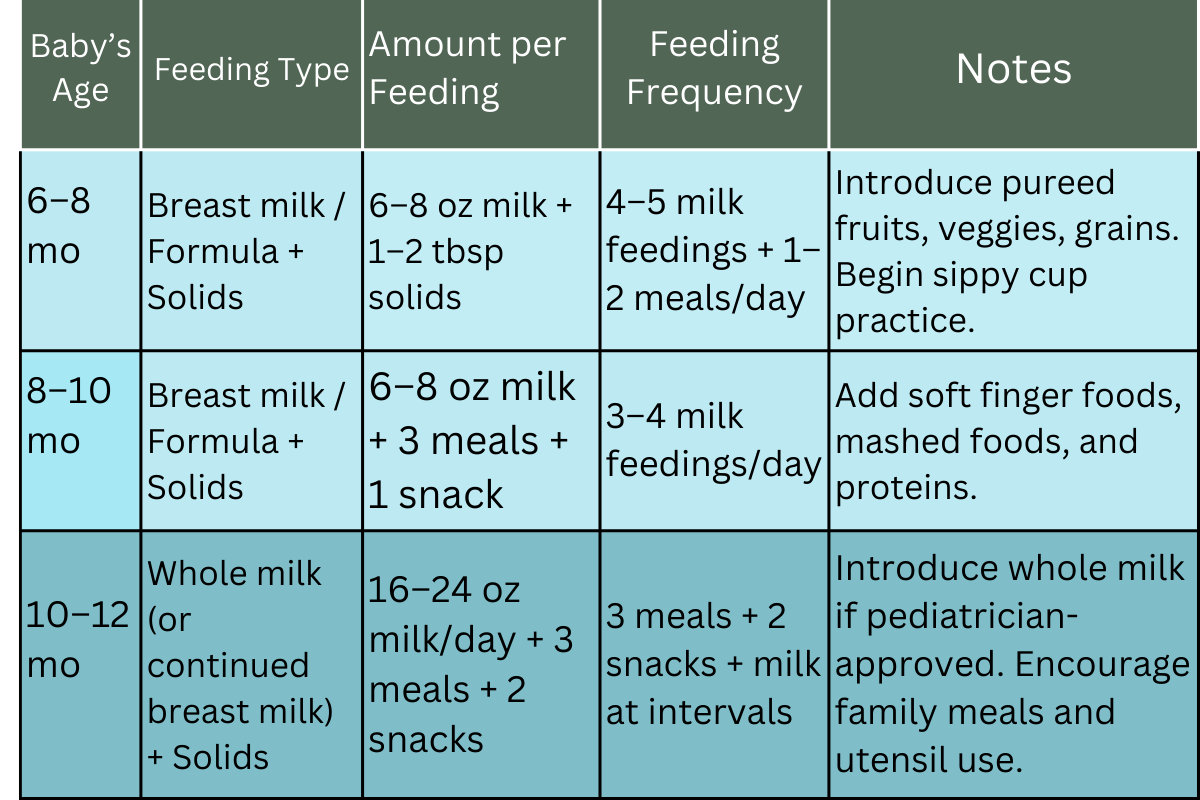 Must-Have Formula Feeding Essentials for a Thriving, Happy Baby